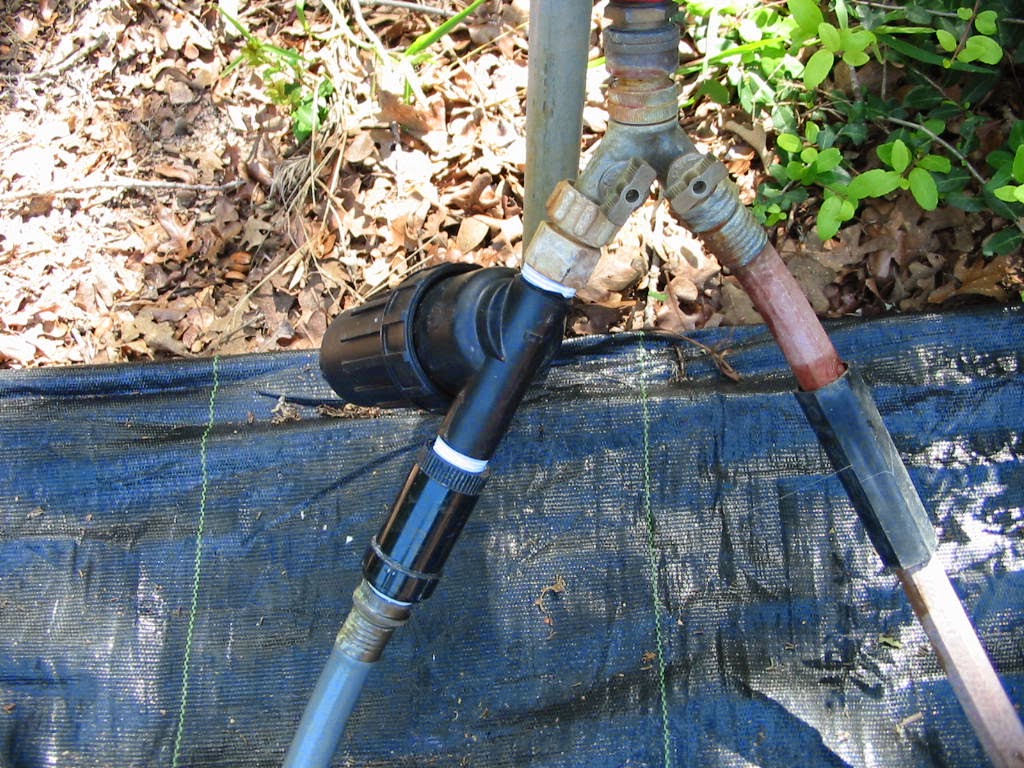 Turtle Ranch Tales: Installing the DIG DRIP IRRIGATION SYSTEM in the ...