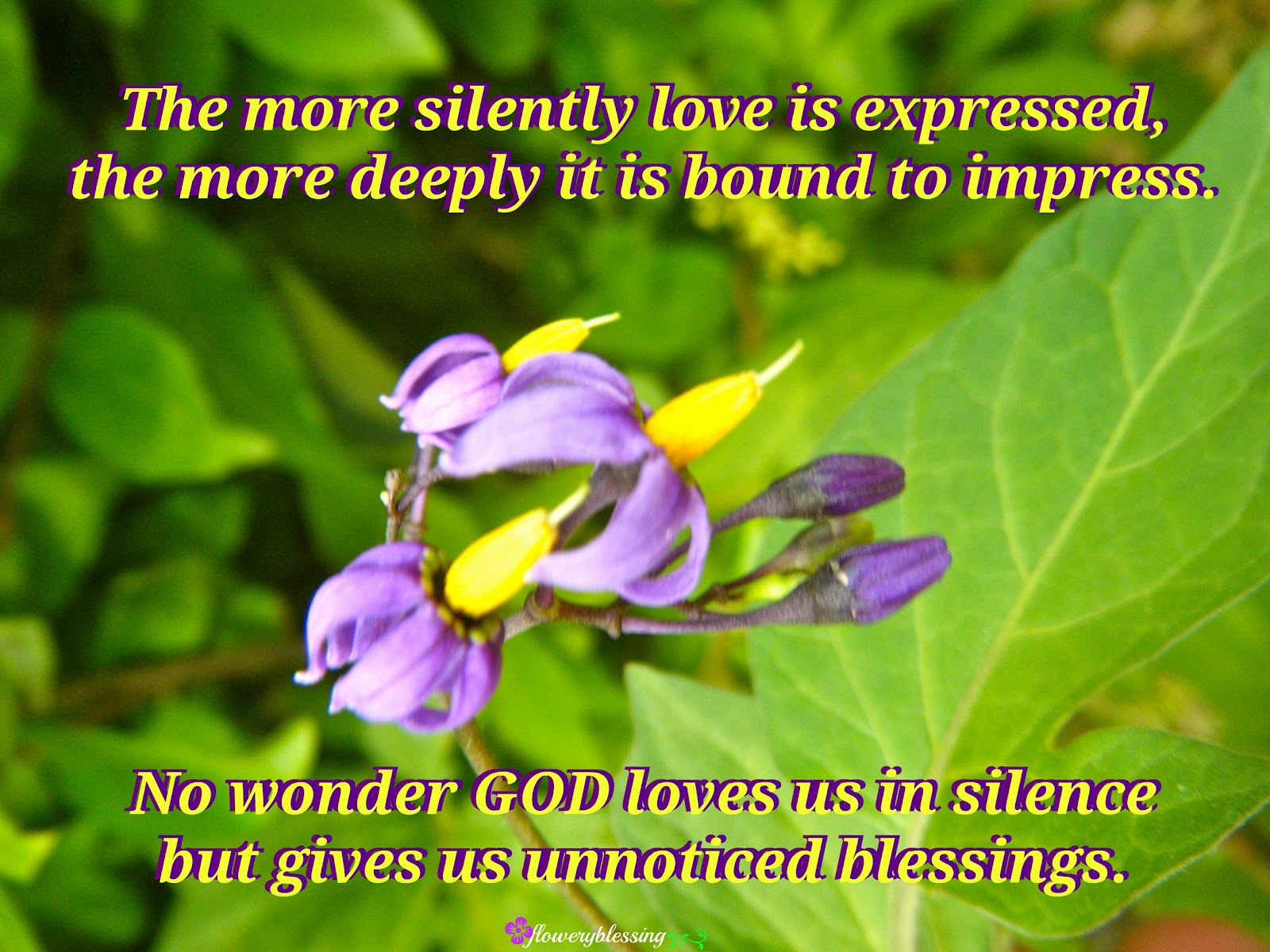 Flowery Blessing: The more silently love is expressed, the more deeply ...