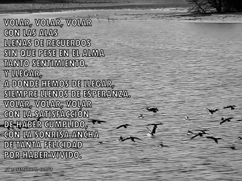 POESÍA Y TRANSICIONES: VOLAR, VOLAR, VOLAR...
