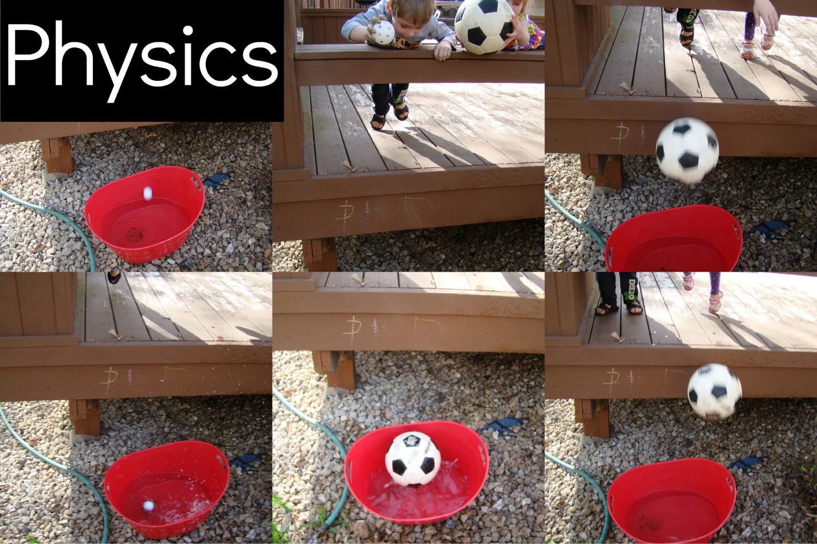 50+ Science Activities for Kids: Kid's Co-op ~ Reading Confetti