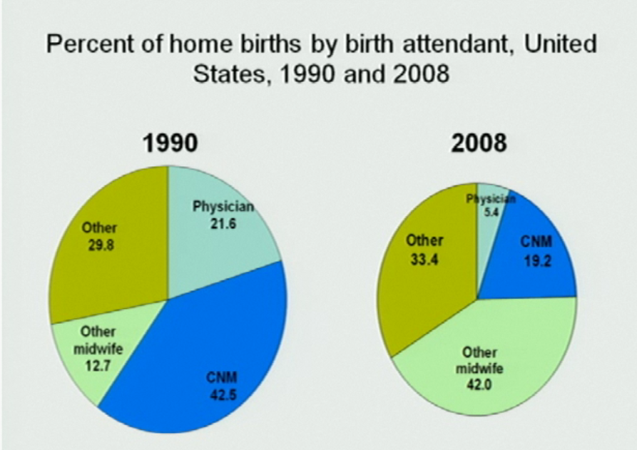 Anthro Doula: Home Births and the Public Health Response Webinar