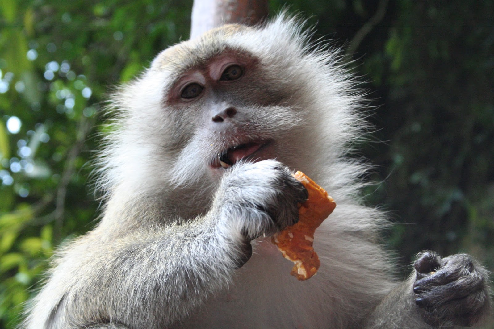 ¡A tu Salud!: agosto 2015