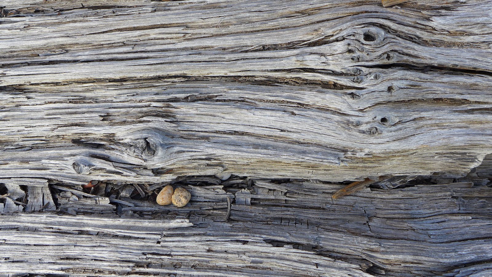 Madera vieja | Todas las texturas