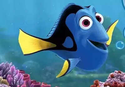 Dory Fish