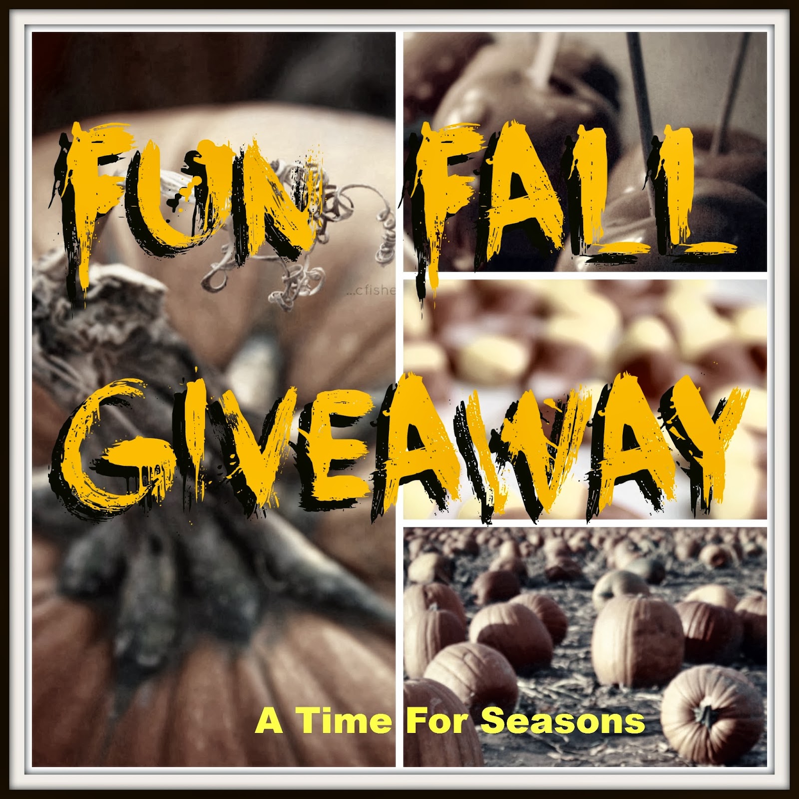 Fun Fall Giveaway!