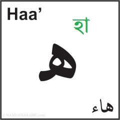 Easy Arabic Alphabet Letters learning for the Quran reading ~ Islamic ...