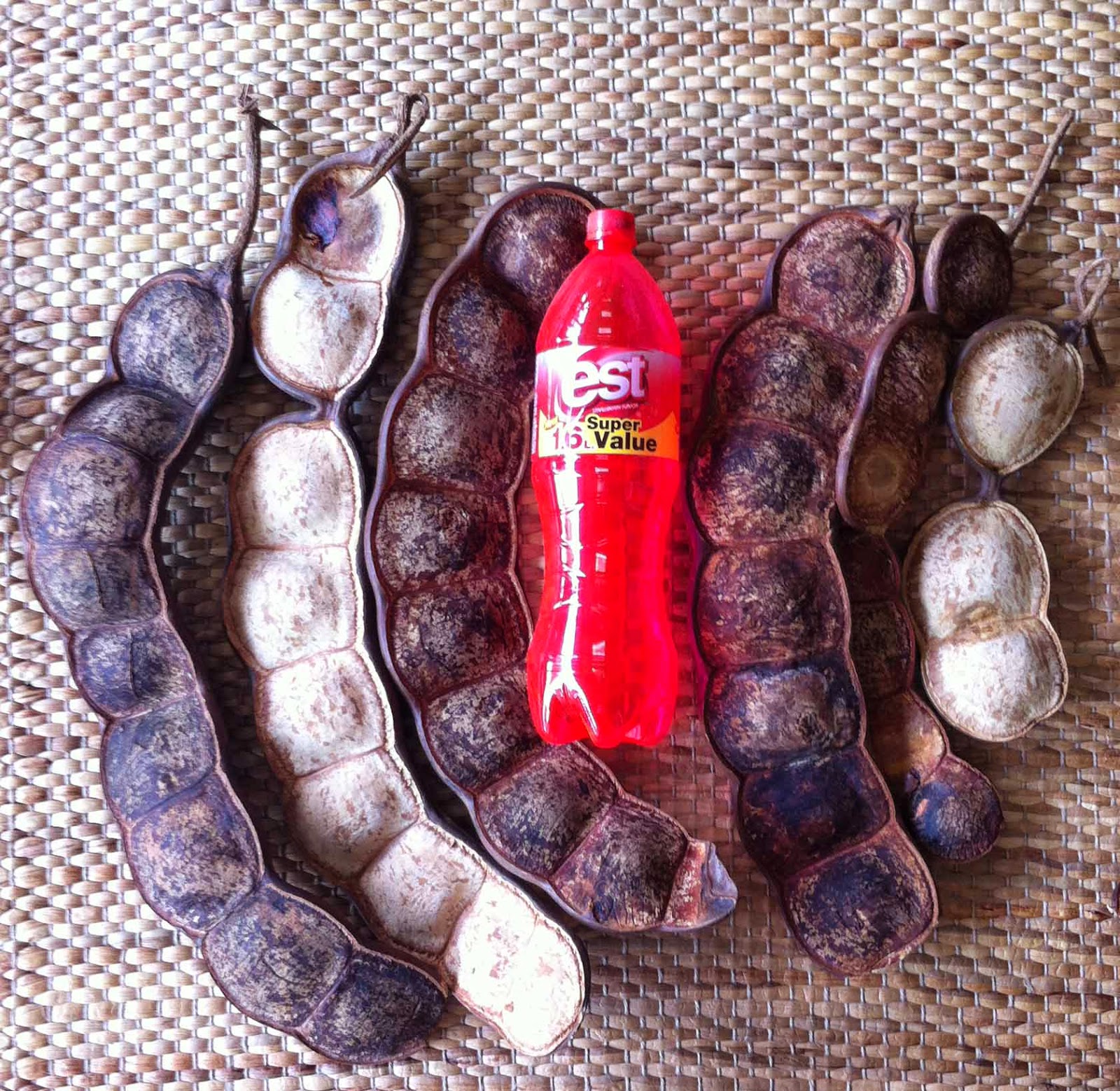 Vintage/Antique Native S. Thailand Hand-Made fish trap: ENTADA RHEEDII ...