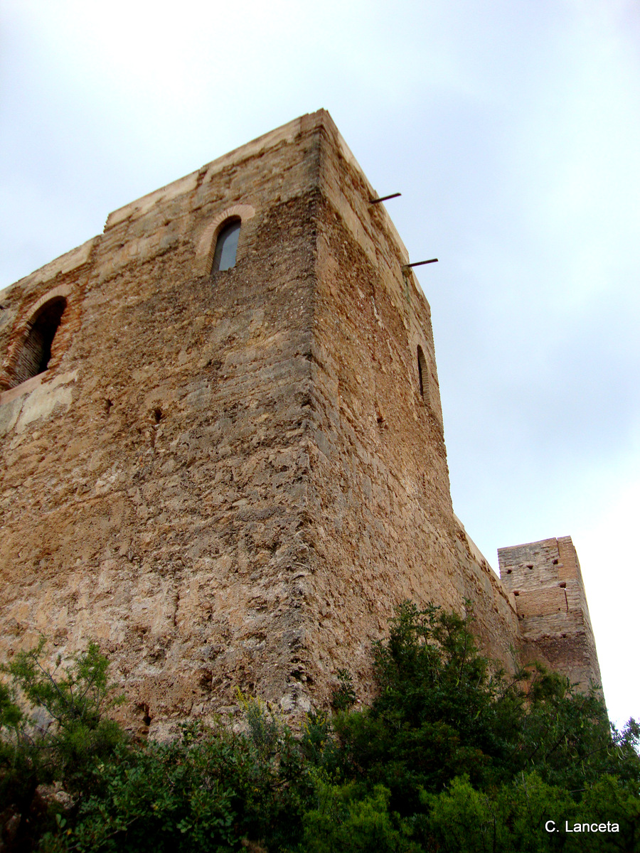 En busca de la cuadratura del círculo: Forna