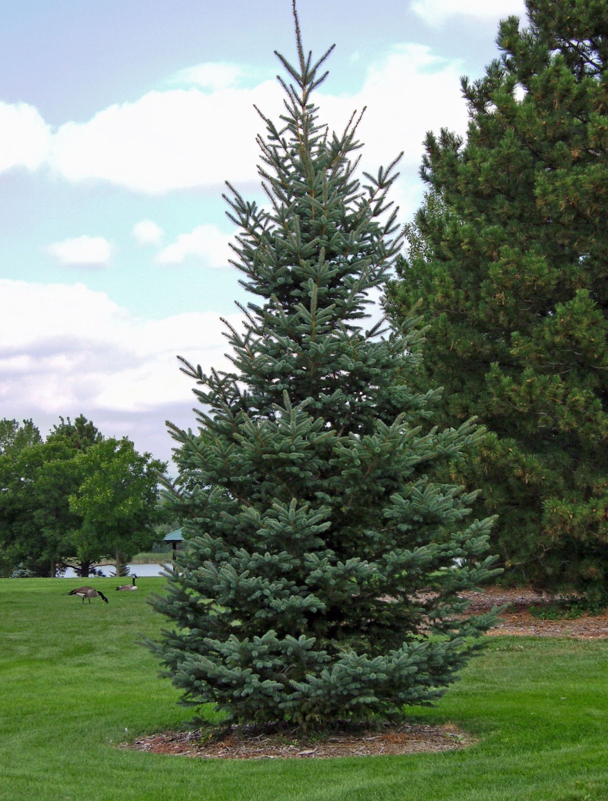 the art garden: Garden Designers' Roundtable: Transitions