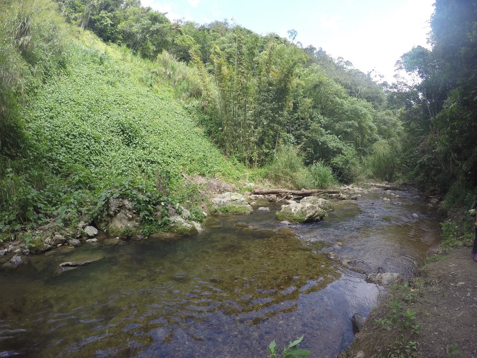 nazeha's story: Hiking: Nulu Tinorindak, Kundasang