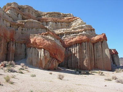 Mojave Desert Ecosystem