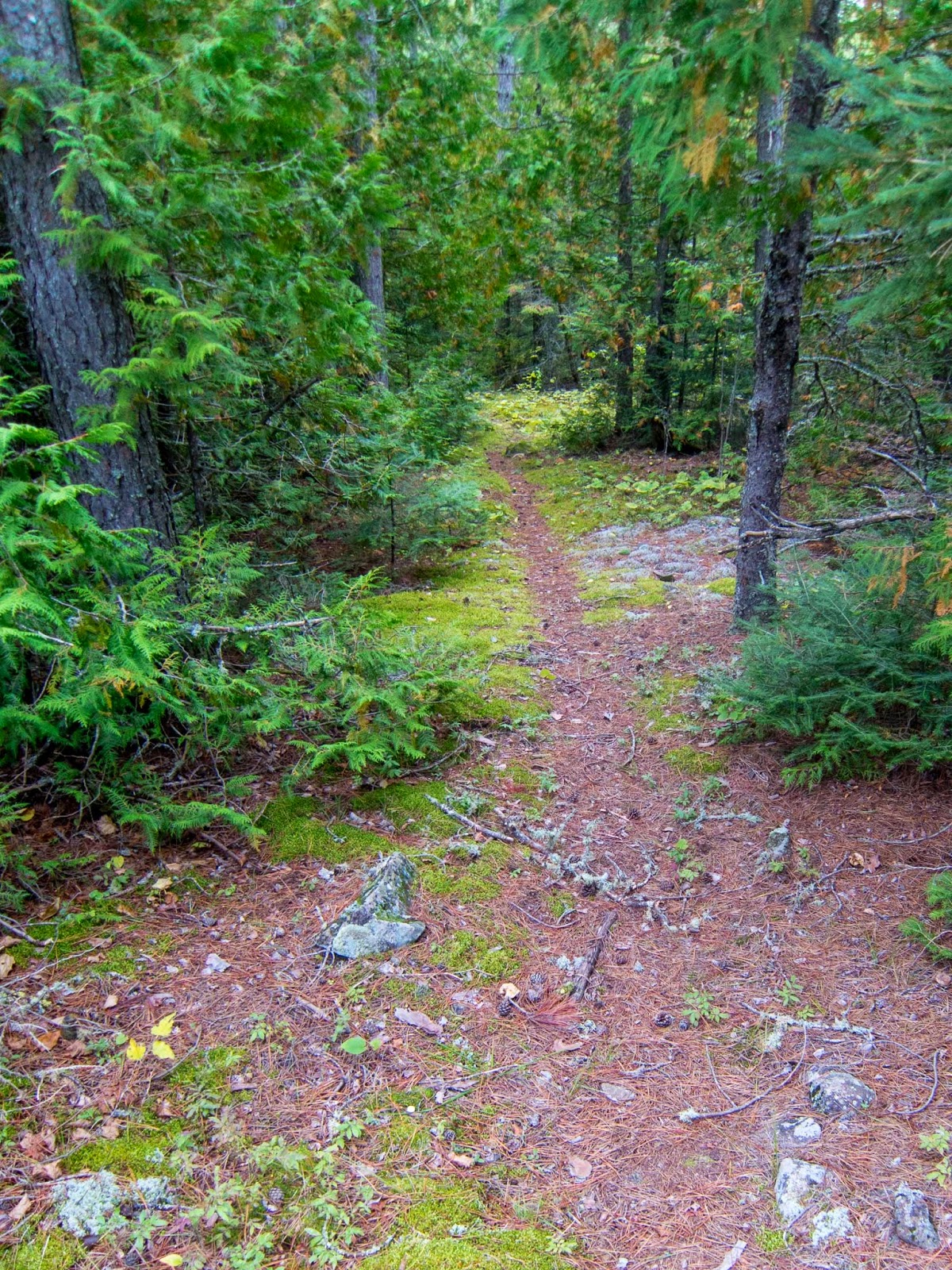 Eric's Hikes: Border Route Trail Thru-hike 2014