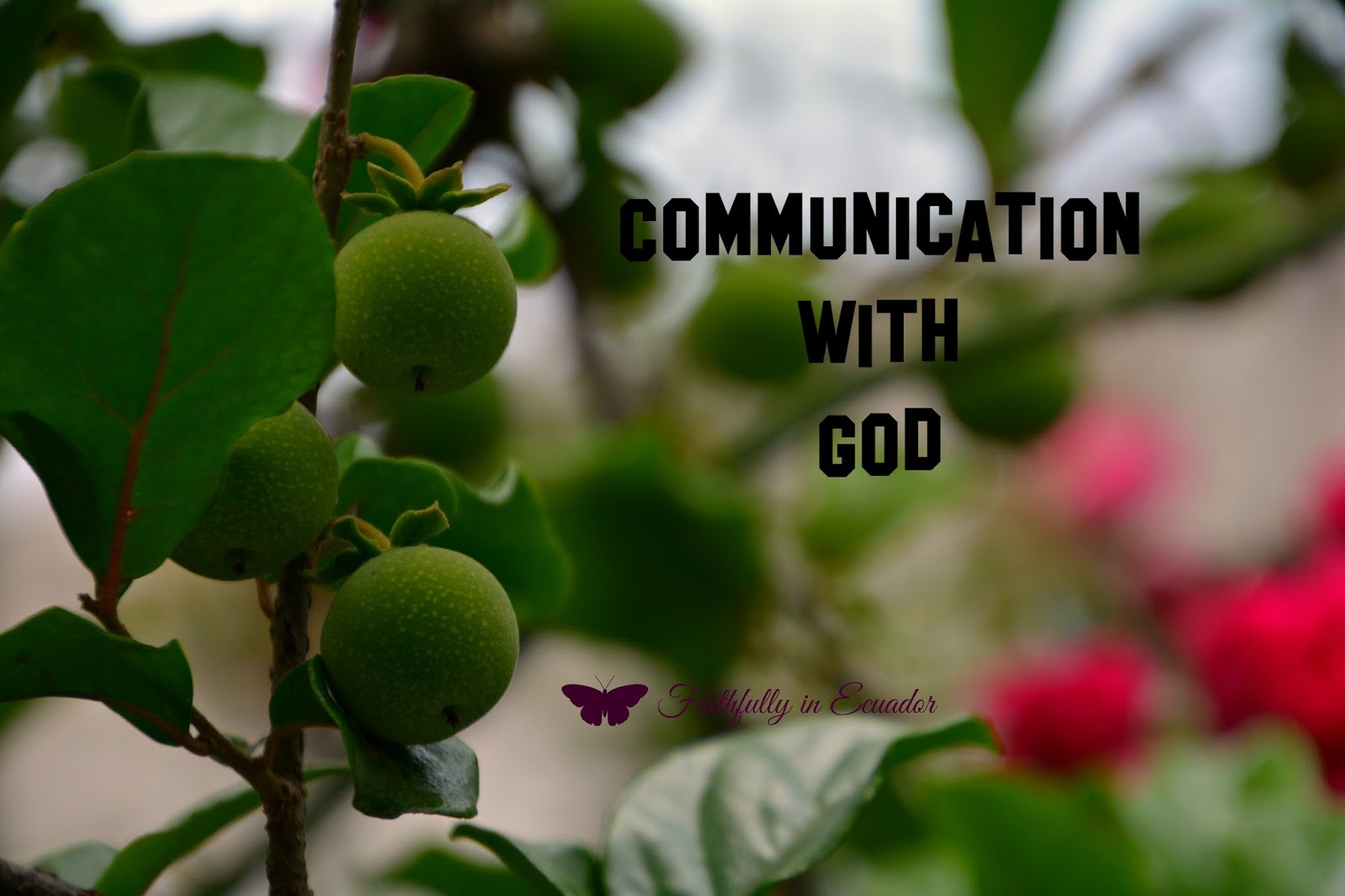 Faithfully In Ecuador: Communication with God