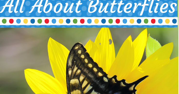 All About Butterflies | Time 4 Kindergarten