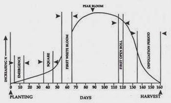 #112 Growth and development | Biology Notes for IGCSE 2014 & 2024