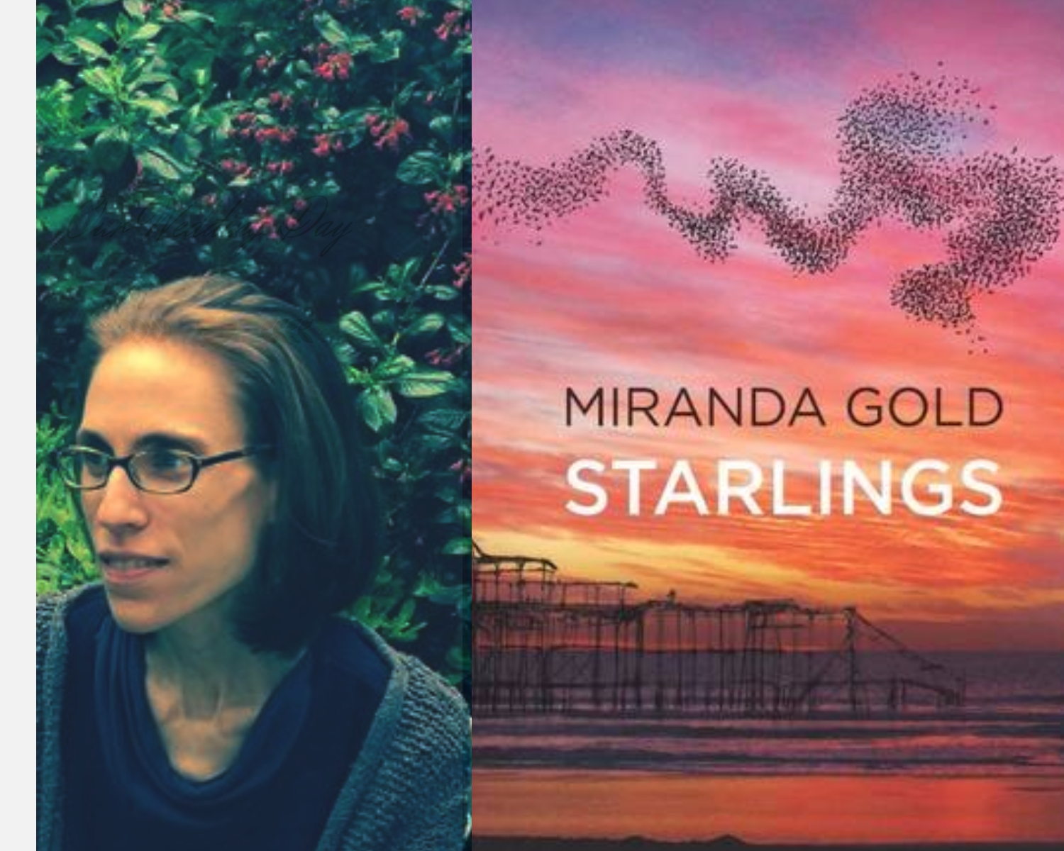 Random Things Through My Letterbox: A Small Dark Quiet by Miranda Gold ...