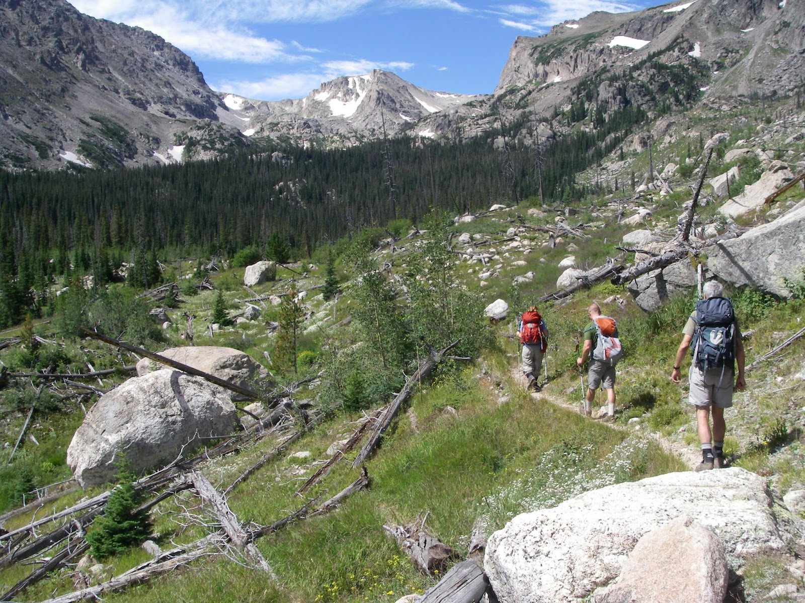 Peaks & Paths: Exploring Wild Basin
