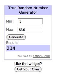 she can quilt: A winner and a travelling turtle pincushion