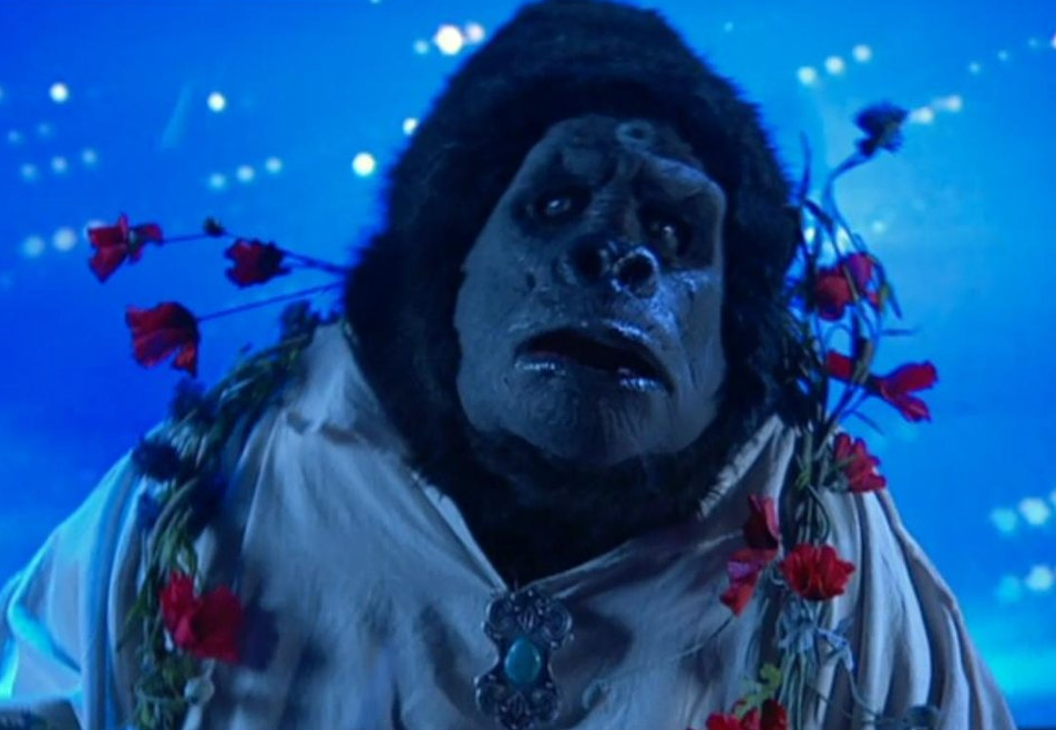 familiar unknown: Peter Elliott