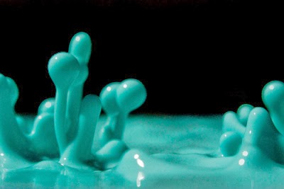 Trichomes and Non-Newtonian Fluid