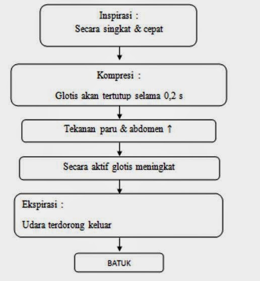 The Sounds of Dhias: BATUK