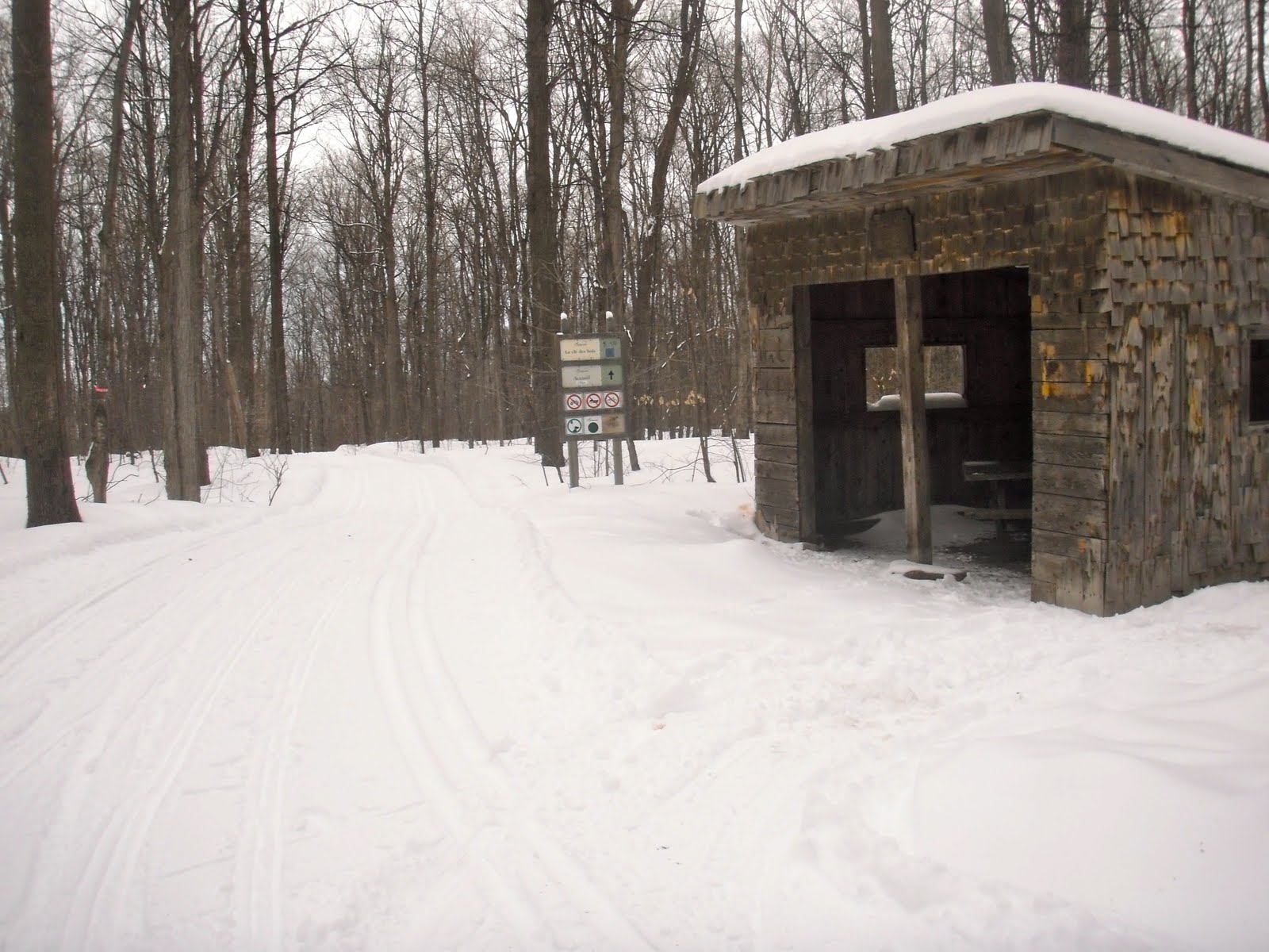 Skiglisse: L'Escapade du Mont Rigaud