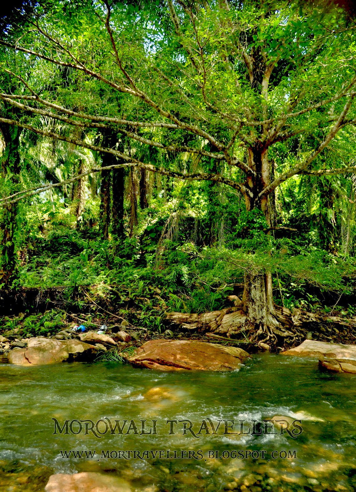 Morowali Travelers: Wisata Sungai di Morowali