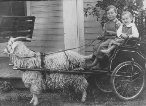 Kitten Vintage: Vintage Hand carts, Billy carts and Goat Carts