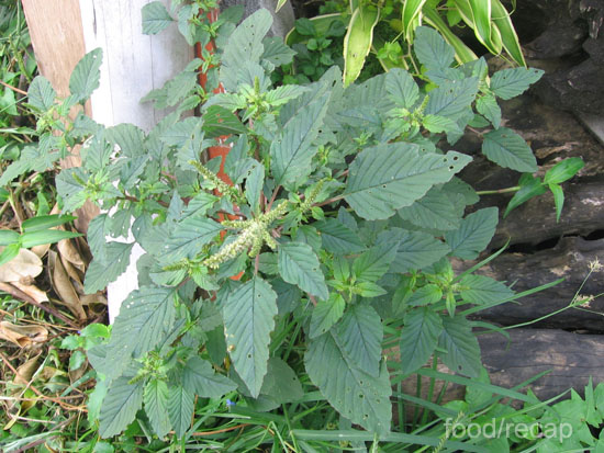 Mindoro 21st Century Association: Uray