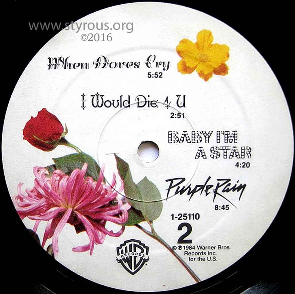 Susan Moonsie Purple Rain