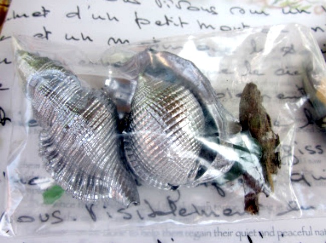 Crafting with Shiny Sea Shells