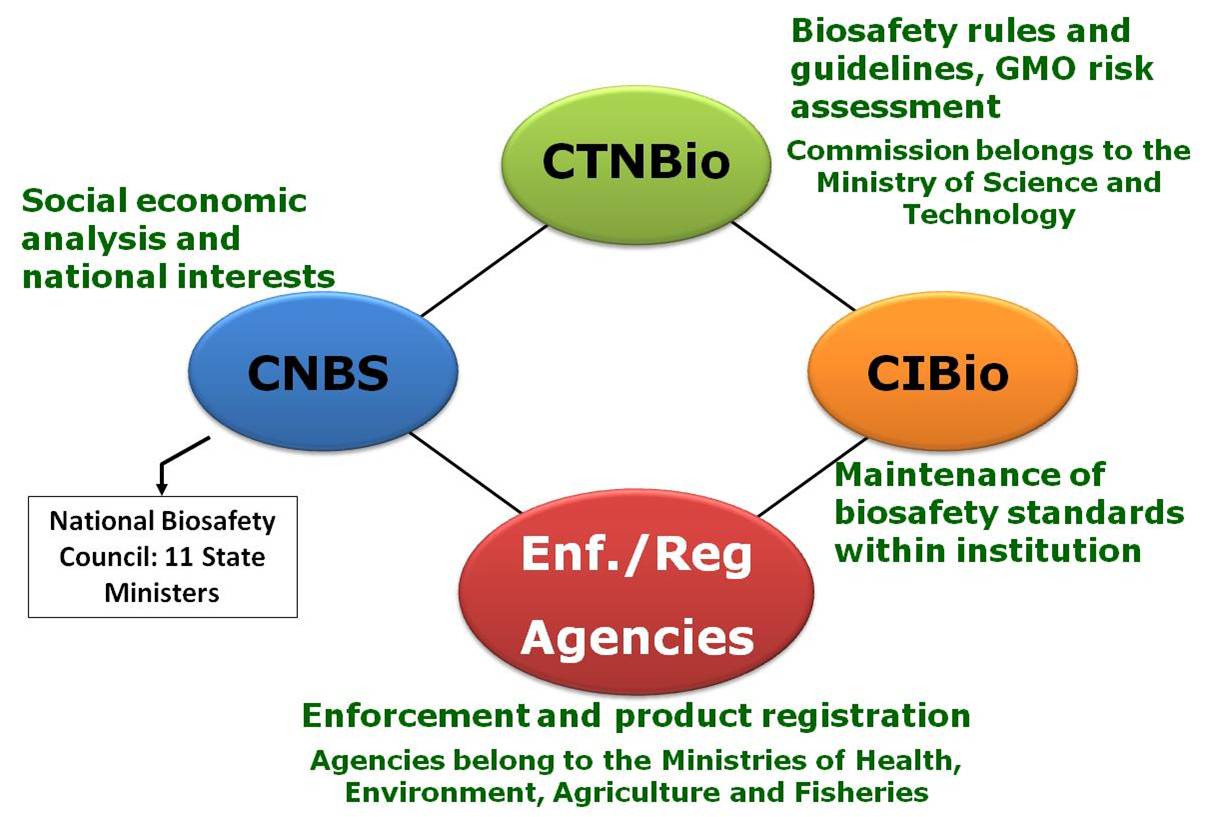 GenPeace: CTNBio: rigor and transparency on GMO biosafety assessment in ...