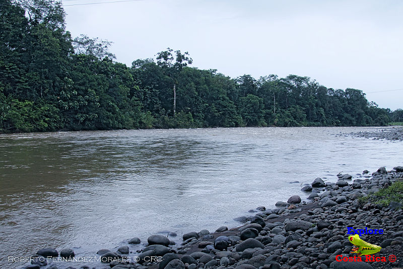 Palenque Margarita -San Rafael de Guatuso, Alajuela- | Explore Costa Rica