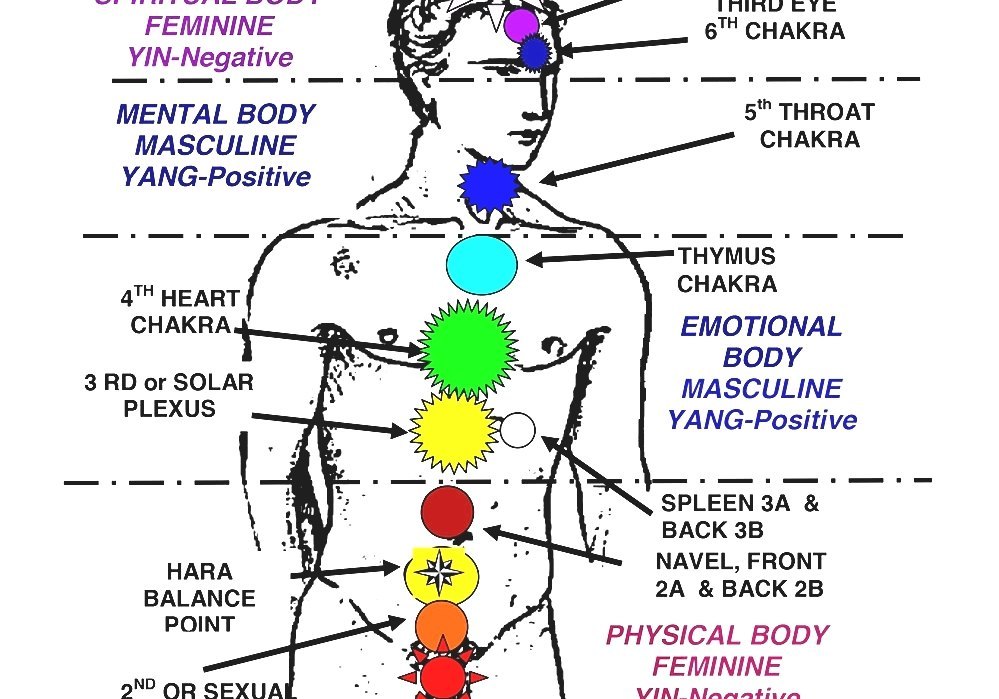 Chakra - Picture Of Chakras In Human Body