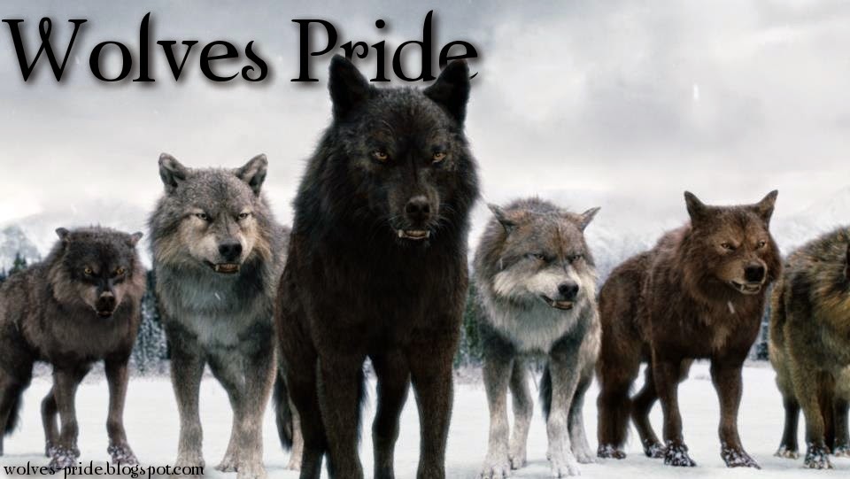 Wolves Pride: Członkowie Sfory