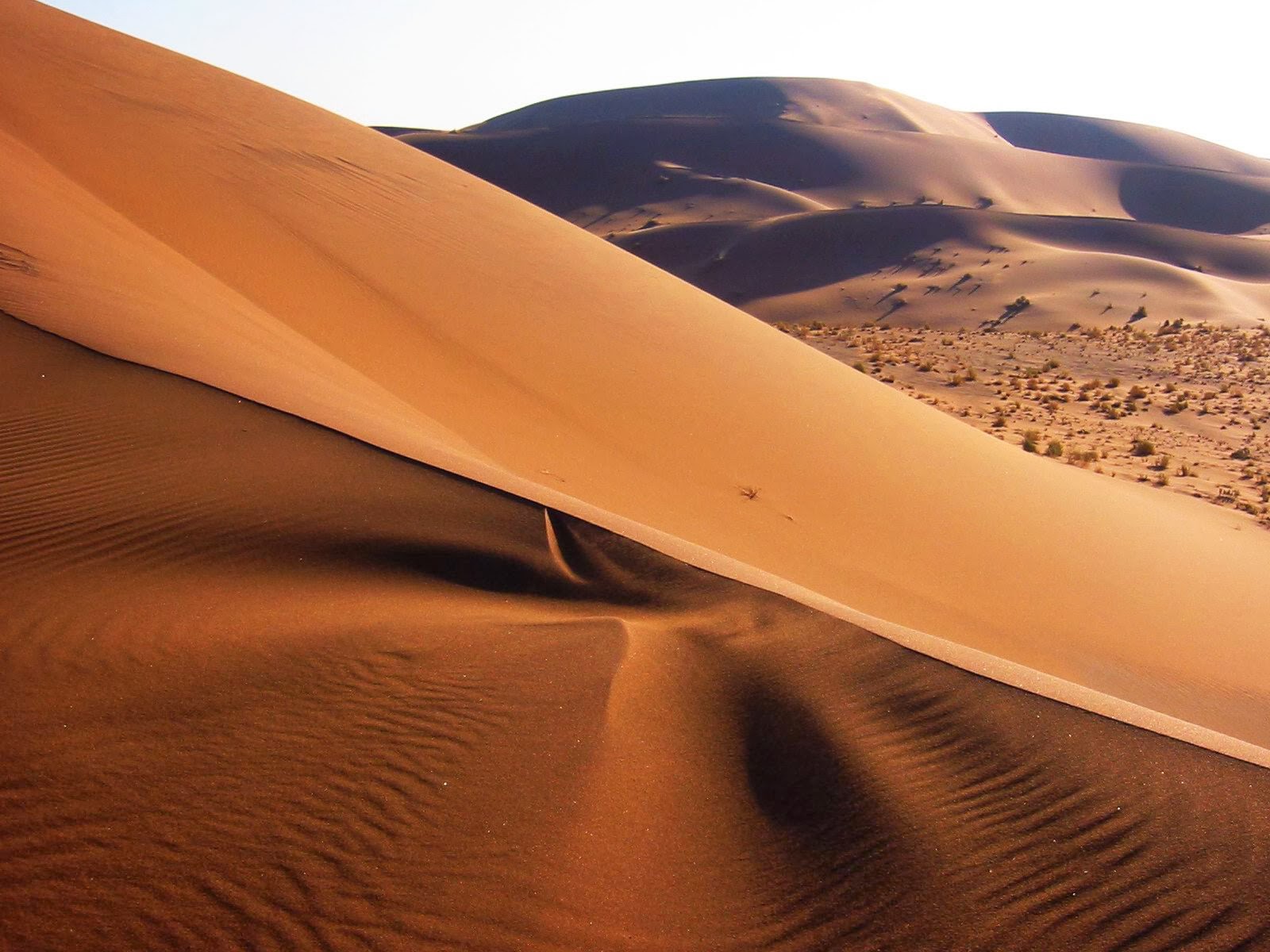 World Beautifull Places: Sand Dunes Of The Sahara Africa New Nice ...