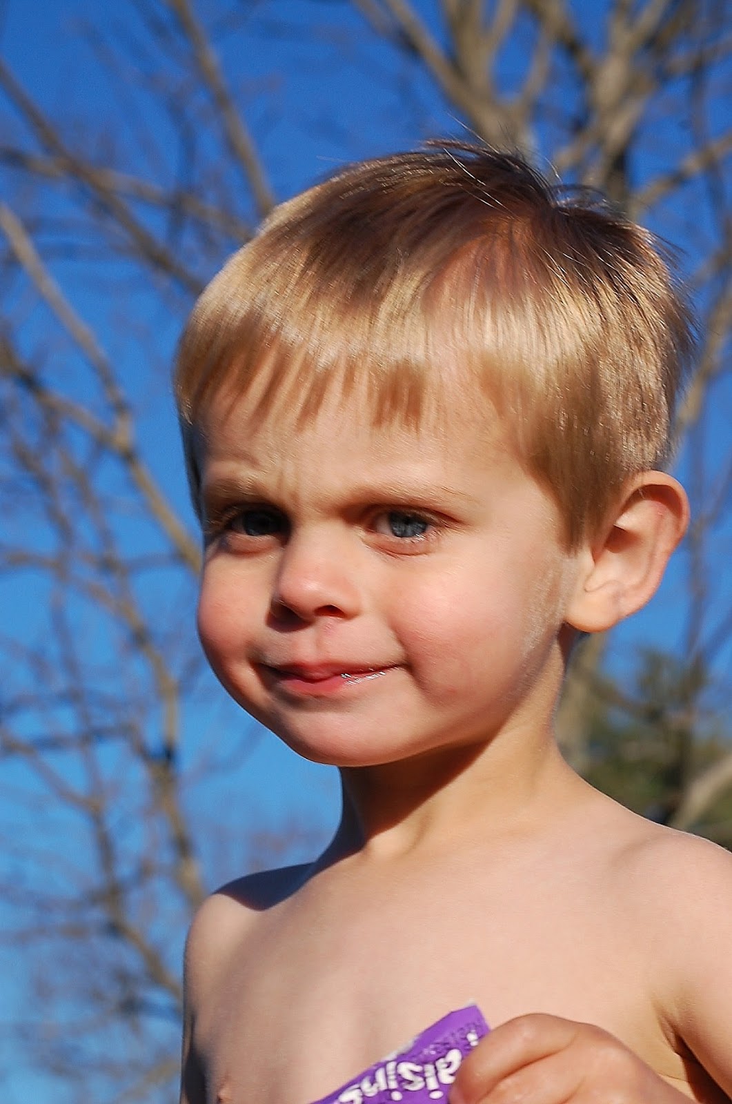 The Buddy Bee Makes Three: Buddy Bee is a 27 Month Bee