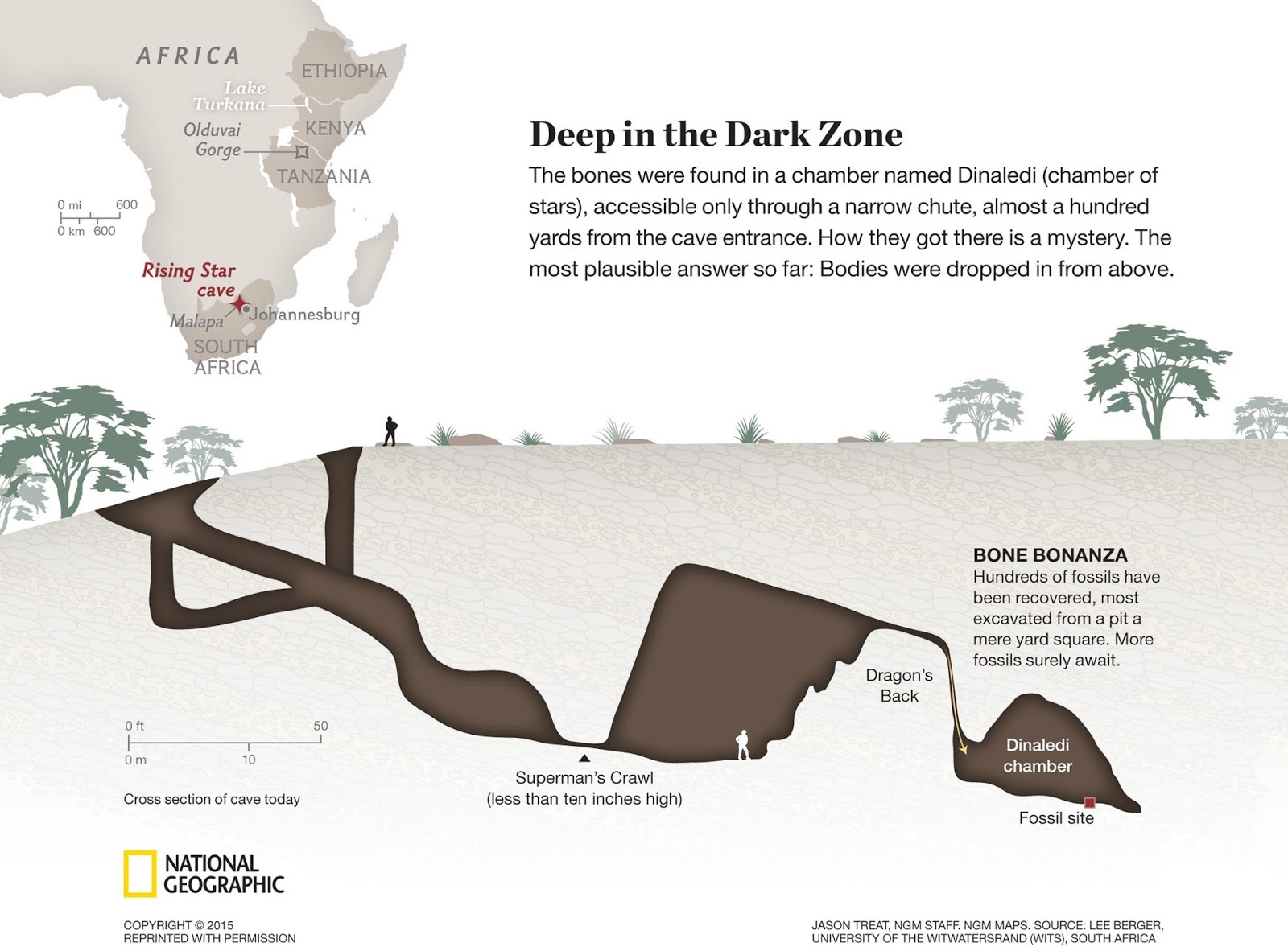 Natural Right and Biology: The Spiritual Evolution of Homo naledi