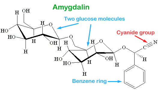 Story of Vitamin B17/Amygdalin/Laetrile/ and Cancer
