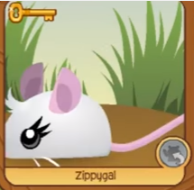 The Animal Jam Whip: New Pets + Fan Art