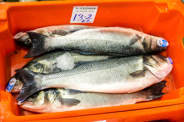 Through the Gaps! - Newlyn Fishing News: Under a blazing sun, the 28th ...