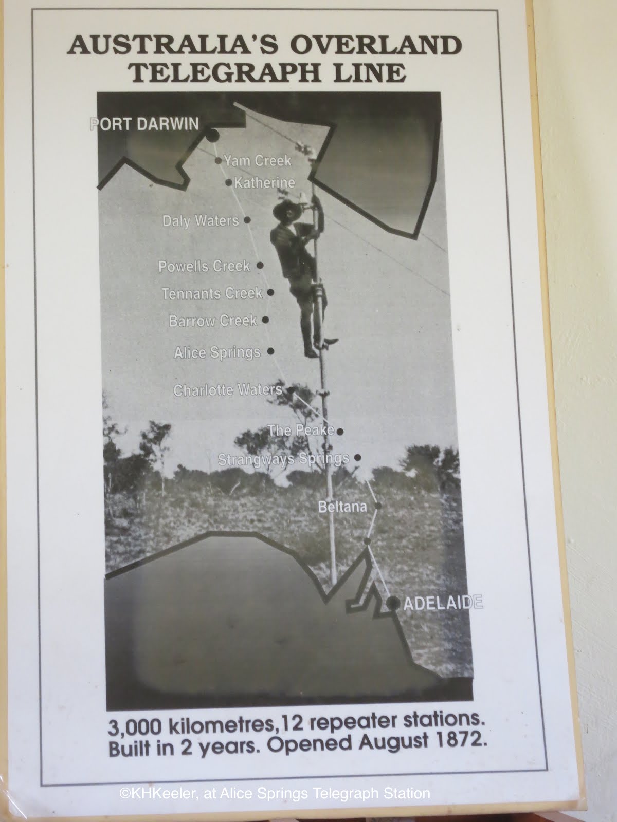 A Wandering Botanist: Visiting Australia--Remote, Central, Alice Springs