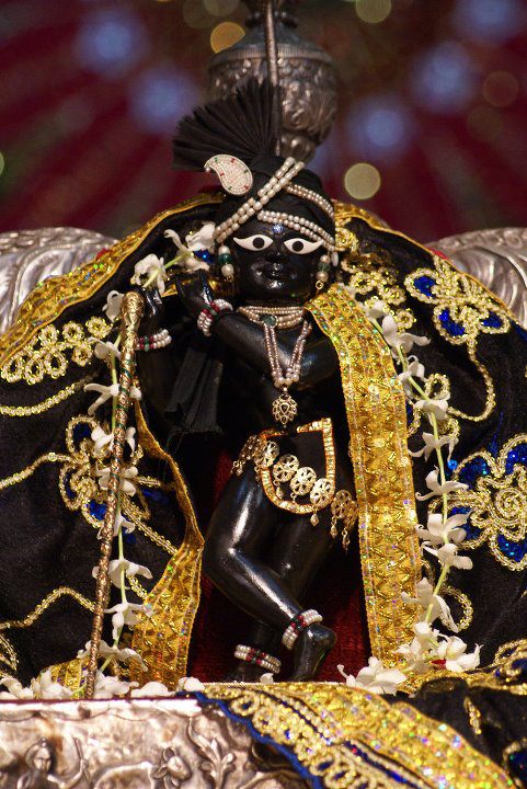 Sri Sri Radha Raman - Self Manifested Form from Salagram of Gopal ...
