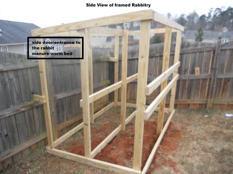 The Swinning Family: Building the Rabbitry