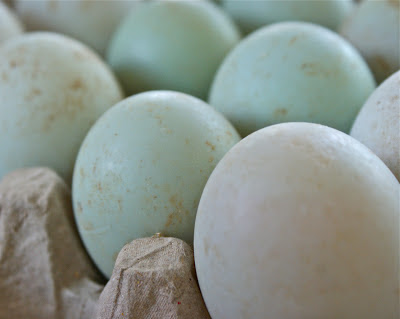 Gastronaut: Salted Eggs – Do It At Home!