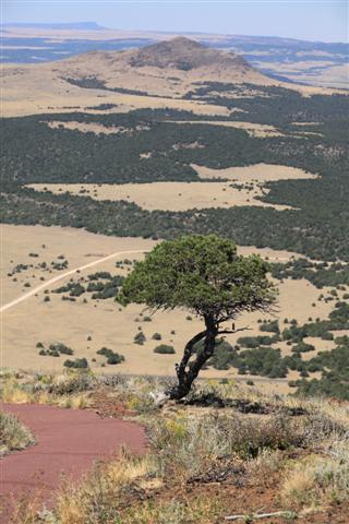 YahBut: Abundant Living!: So long summer ... Hello, Mount Capulin