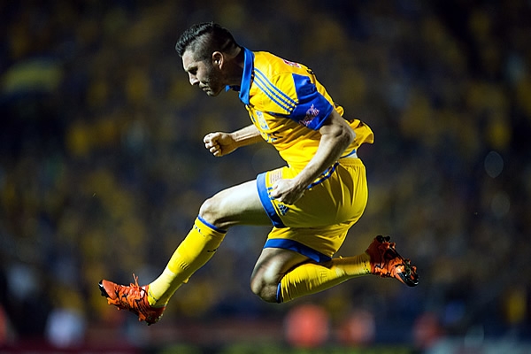 Tigres, 90% Campeón del Apertura 2015 | Ximinia