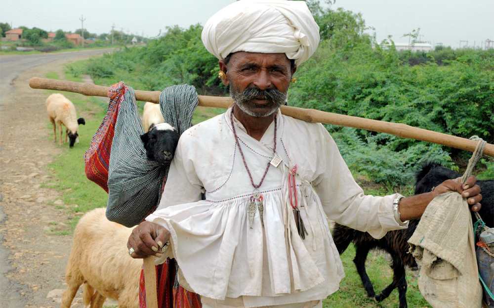 Maldhari - JungleKey.in Image