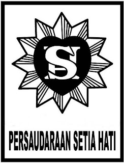 Dwi Nanda Wibowo: Lambang Persaudaraan Setia Hati