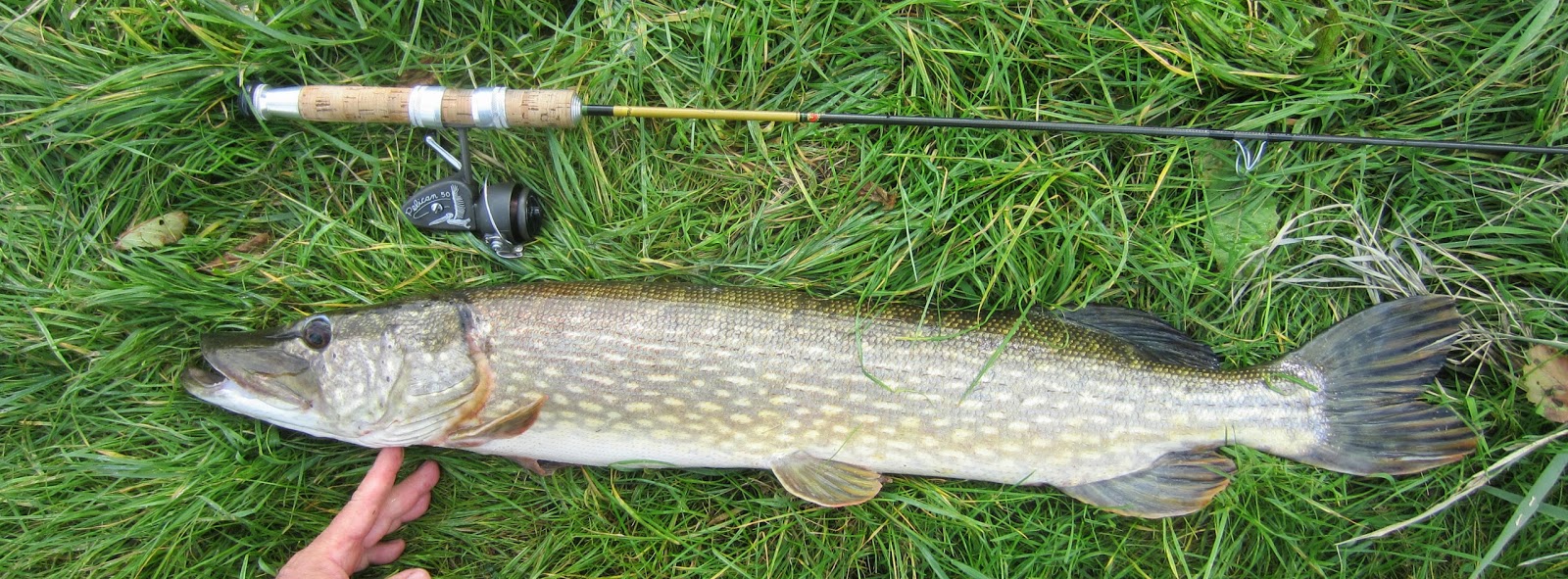 Ultralicht-vissen met Fairplay hengels: Nieuw record op de Fairplay 5 ...